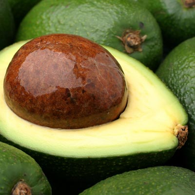 Increasing Male Fertility with Nutrients - Fertilitytips.com