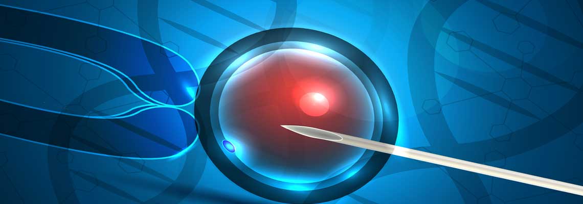 Genetic Pattern Gives Predictors of IVF Failure or Success