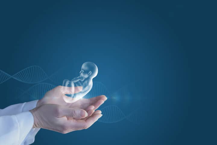 A Fully Automated AI-Based System for Evaluating IVF Embryo Quality ...